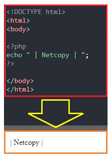 PHP چیست؟ - نت کپی | مرجع قالب و اسکریپت های فارسی